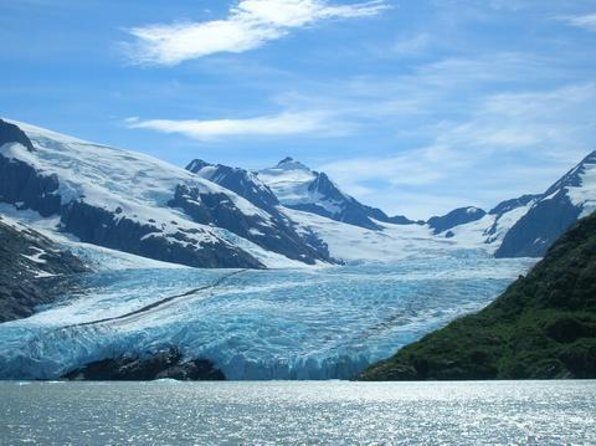 Anchorage to Seward- Pre-Cruise Curated Wildlife Tour +Transfer - Introduction