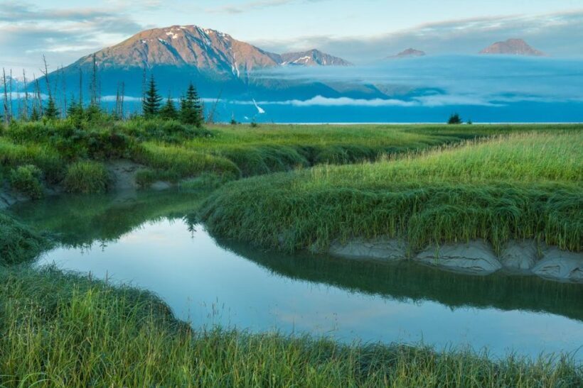 Anchorage: Turnagain Arm Highlights Photography Day Trip - Authentic Traveler Insights