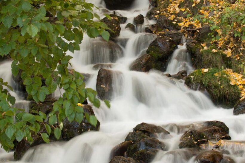 Anchorage: Turnagain Arm Highlights Photography Day Trip - Who Should Consider This Tour?