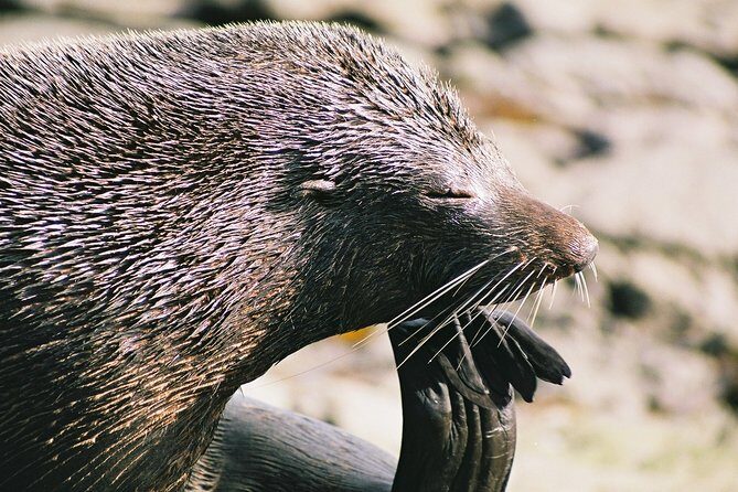Anchorage Walk and Sail - A Detailed Look at the Anchorage Walk and Sail Experience