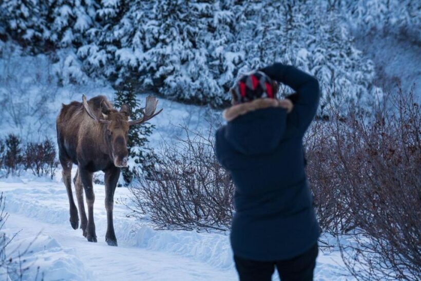 Anchorage: Winter Wonderland Photo Tour - The Sum Up: Is This Tour Worth It?