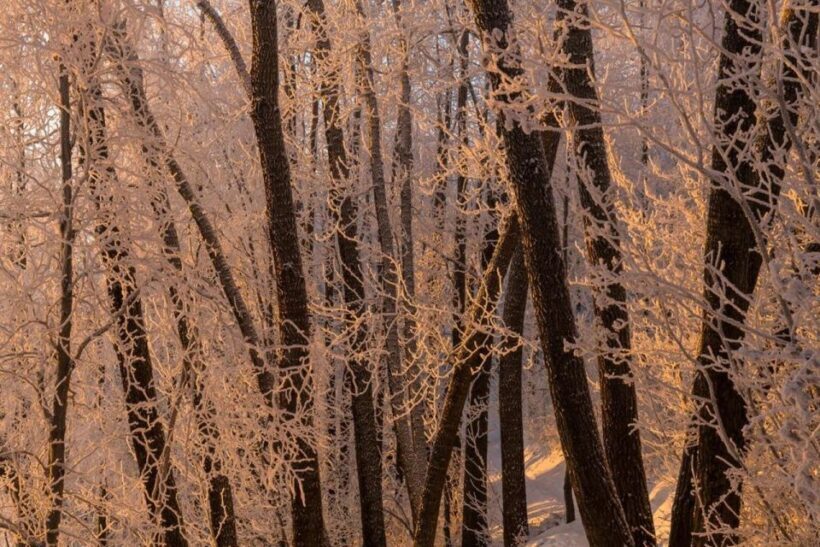 Anchorage: Winter Wonderland Photo Tour - FAQ