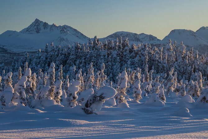 Anchorage Winter Wonderland Photo Tour - FAQs