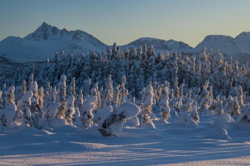 Anchorage: Winter Wonderland Photo Tour - What to Expect: A Closer Look