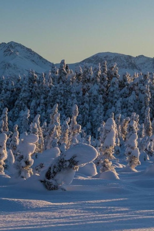 Anchorage: Winter Wonderland Photo Tour - The Sum Up
