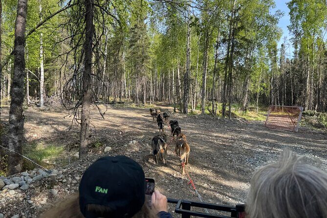 Anchorage's Authentic Dog Sledding Experience - Practical Tips for Travelers