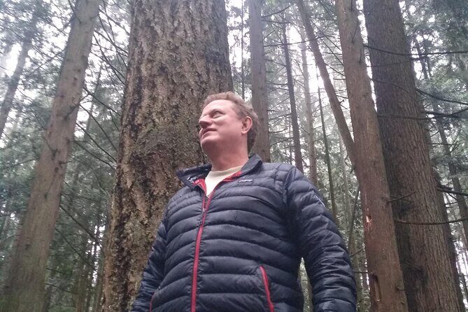 Ancient Forest , Waterfalls and Stunning Vistas Day Tour - Why This Tour Works