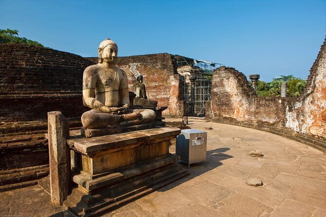 Ancient Kingdom and Wild Elephant Safari from Polonnaruwa - Detailed Review of the Tour Experience