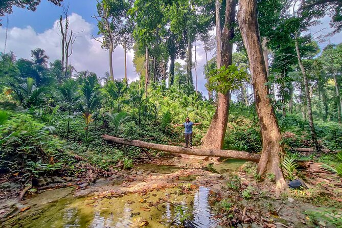 Ancient Lava Stream Trek through dense Tropical forest. - Authenticity and Review Insights