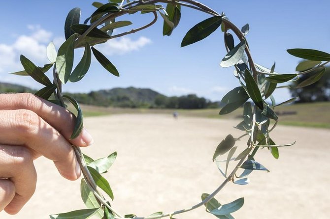 Ancient Olympia full day private tour from Athens - A Deep Dive into the Experience
