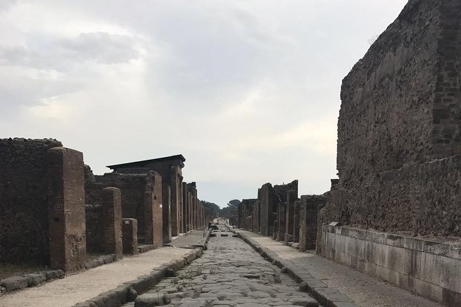Ancient Pompei in the Afternoon - Booking and Cancellation Details