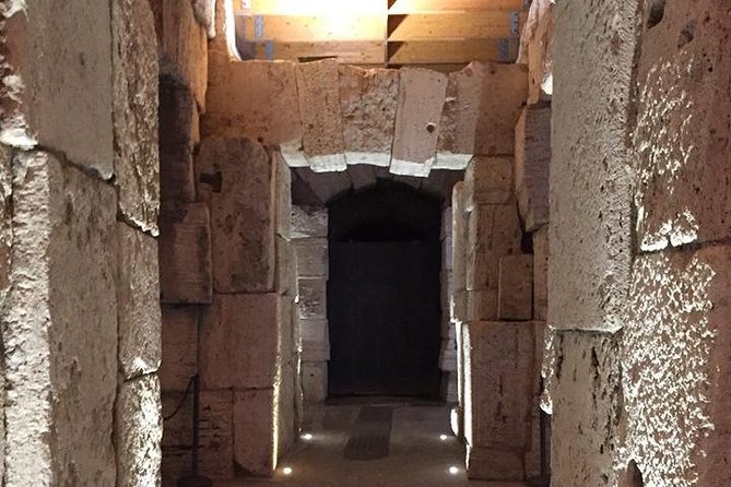 Ancient Rome and Colosseum Private Tour With Underground Chambers and Arena - Discovering the Roman Forum and Palatine Hill