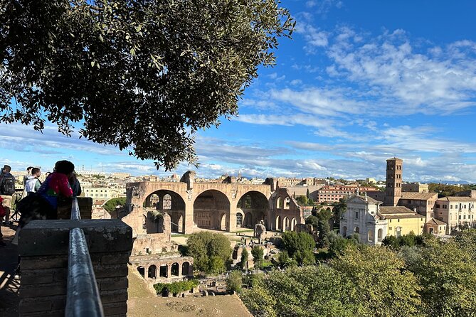 Ancient Rome Discovery: Colosseum, Forum, Palatine Guided Tour - Practical Details and Tips