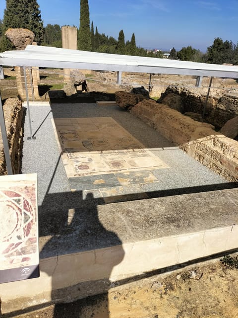 Ancient Rome in Seville: Exclusive Italica Guided Tour - Who Will Love This Tour?