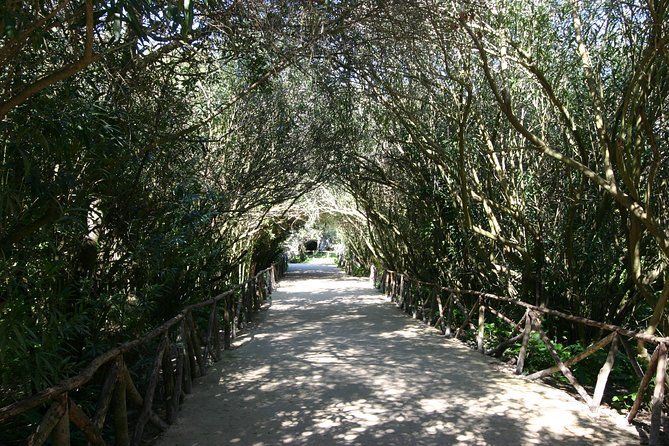 Ancient Syracuse: private guided tour of the Neapolis archaeological park - Final Thoughts