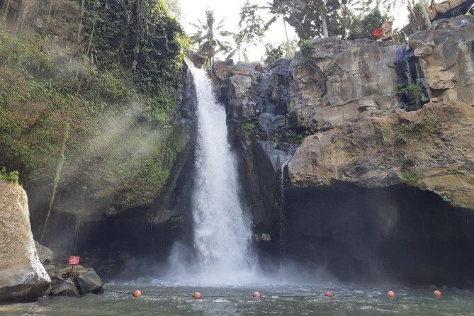 Ancient Temples Tours, Waterfall and Coffee Plantation - Tegalalang Rice Terrace: Iconic Bali Landscape