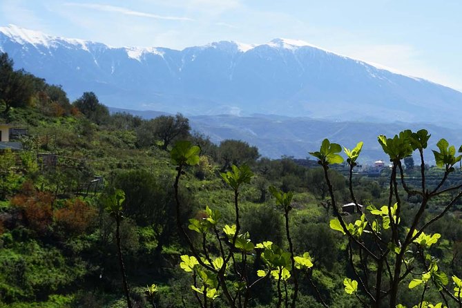 Ancients and Ottomans - Apollonia and Berat - Additional Information