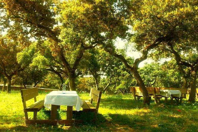 Andalucia Bull and Horse Farm and Ronda Private Tour from Malaga - What’s Good About It?