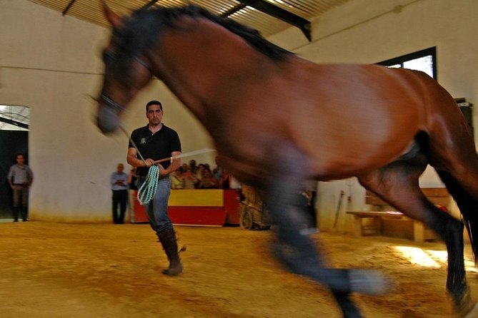 Andalucia Bull and Horse Farm and Ronda Private Tour from Malaga - Final Thoughts: Is This Tour Worth It?