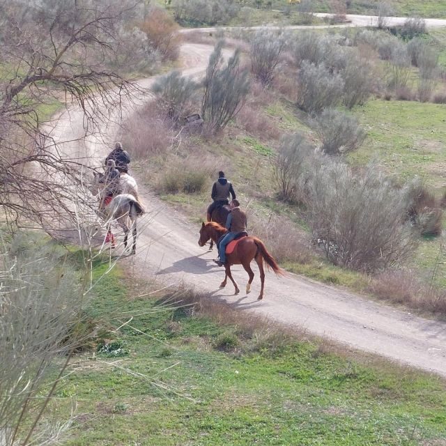 Andalucia: Horse Riding Tour with Picnic - The Picnic: A Taste of Spain