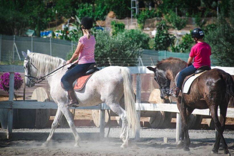 Andalucia: Horse Riding Tour with Picnic - Who Should Consider This Tour?