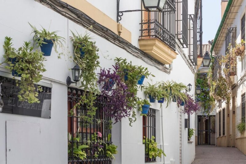 Andalusia Express from Madrid 4 Day tour - What the Tour Includes and What to Consider