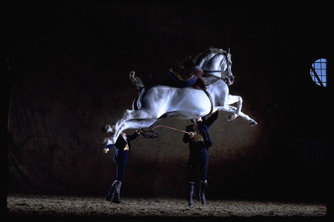 Andalusian Horses Dance Show Review - About Your Stay