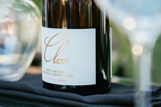 Andalusian Wine Tasting in Cala de Mijas - 4 Top Wines + Tapas - Discover Andalusian Wine Tasting in Cala de Mijas: A Guide to Four Top Wines and Tapas