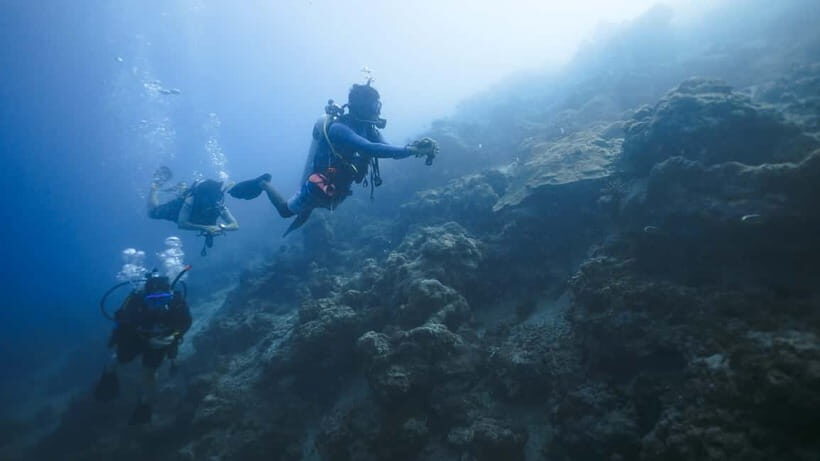 Andaman: Havelock Scuba Diving by PADI 5-Star Dive Center - An In-Depth Look at the Havelock Scuba Diving Experience