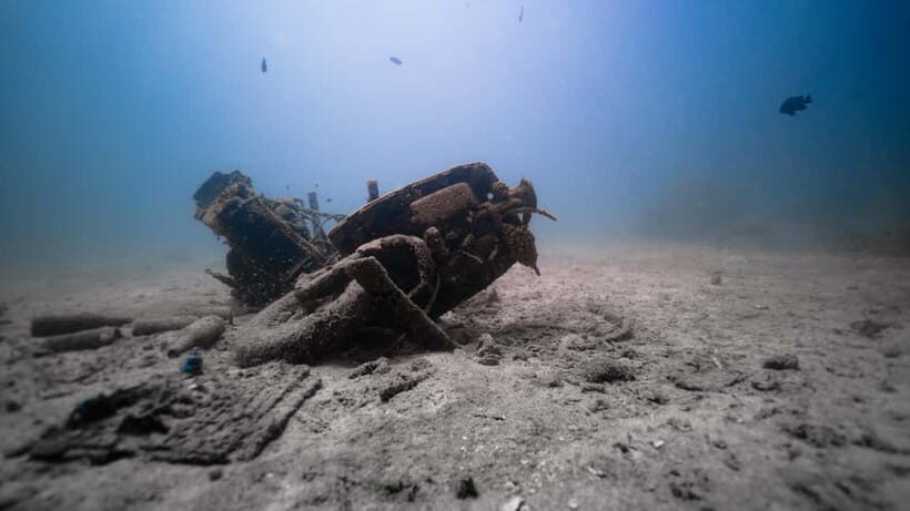 Andaman: Havelock Scuba Diving by PADI 5-Star Dive Center - The Sum Up: Who Is This Tour Best For?