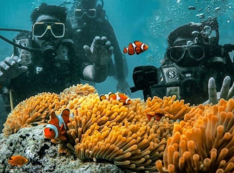 Andaman Islands: Scuba Diving Tour - Who Is This Tour Best For?