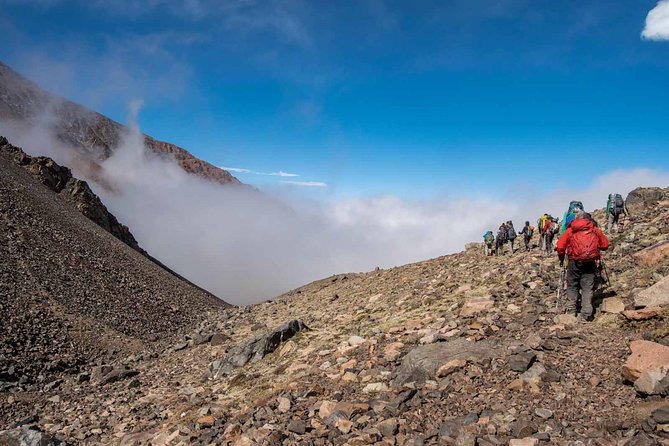 Andes Day Hiking Tour Experience - Tour Operator Details