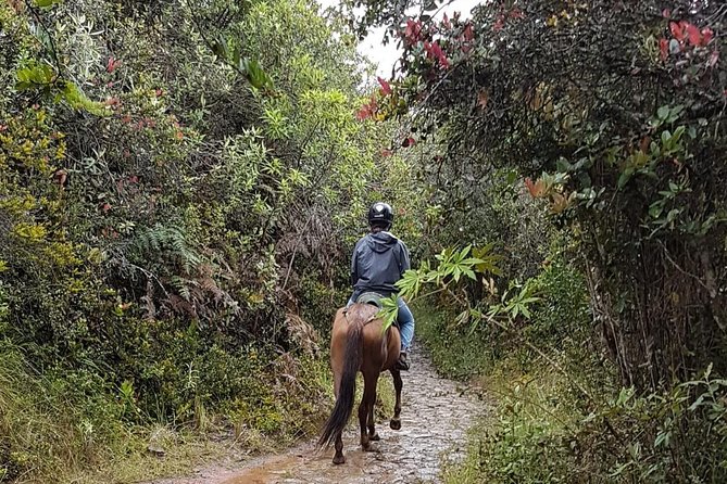 Andes Mountains Horseback Riding - Equine Companions