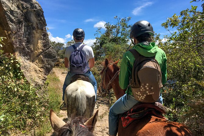 Andes Mountains Horseback Riding - Traveler Feedback and Recommendations