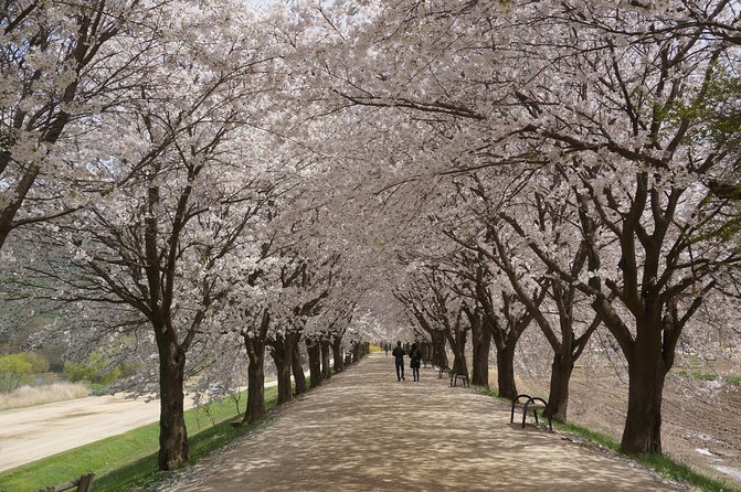 Andong Hahoe Folk Village [UNESCO World Heritage] Private Tour from Seoul - The Sum Up: Is It Worth It?