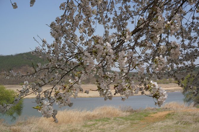 Andong Hahoe Folk Village [UNESCO World Heritage] Private Tour from Seoul - FAQ