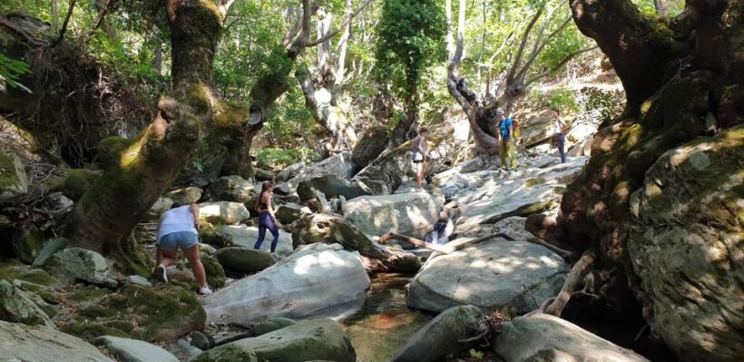 Andros: Achla River Trekking to the Waterfall - What to Expect on the Achla River Trekking Tour