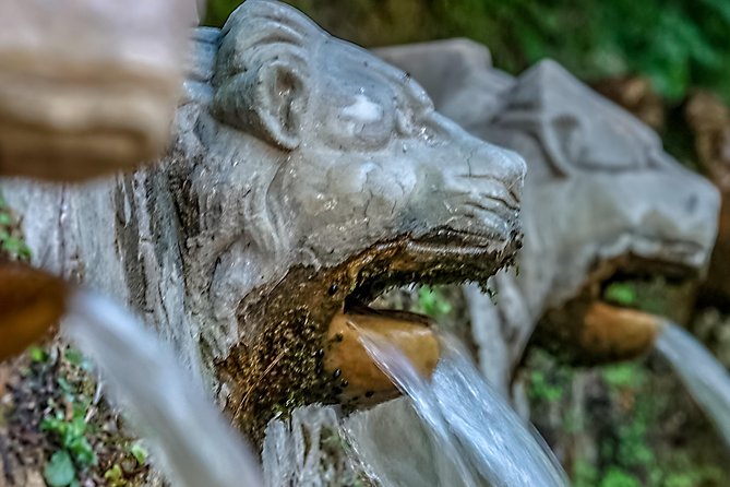 Andros Half-Day Sightseeing Tour - What to Expect on the Tour