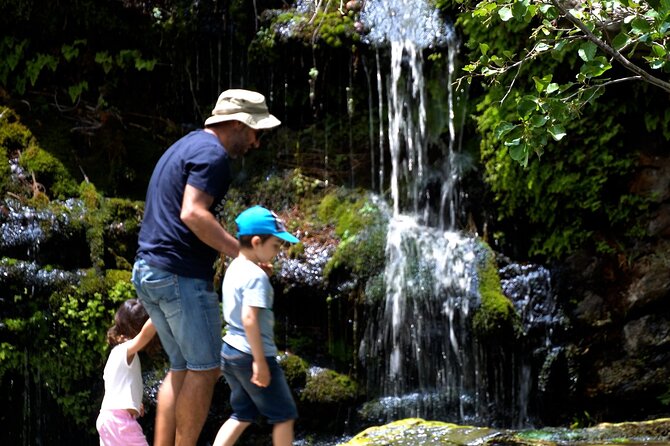 Andros Town, Pythara Waterfall, Menites Springs: Half-Day Tour - Accessibility and Participation
