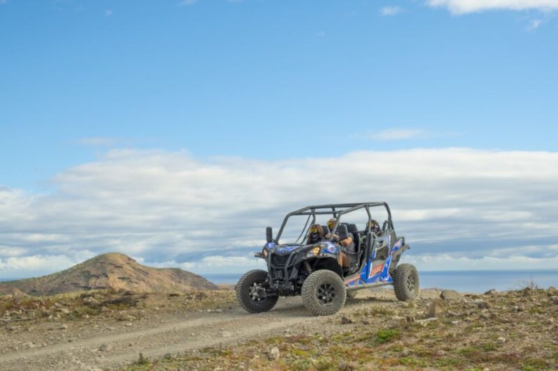 Anfi beach: Guided Buggy Tour. - Who Should Consider This Tour?