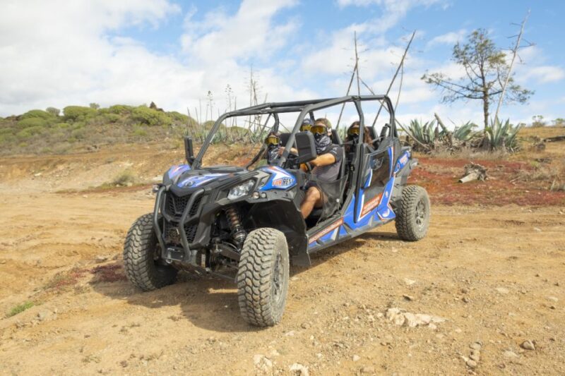Anfi beach: Guided Buggy Tour. - The Sum Up