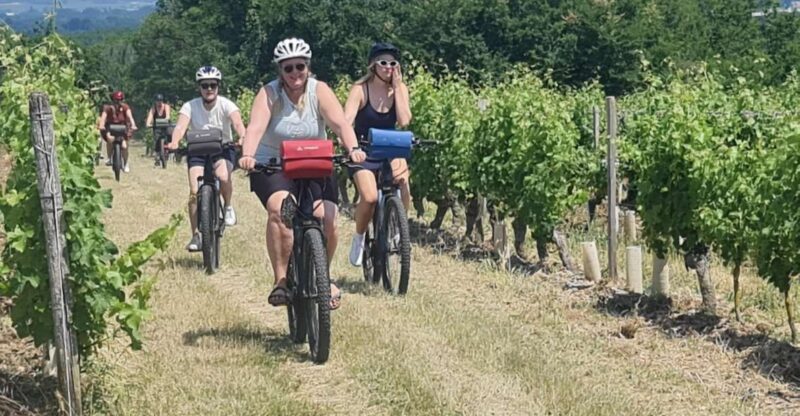 Angers: Cycling tour with wine tastings ! - Authentic, Balanced, and Fun