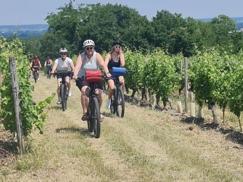 Angers: Cycling tour with wine tastings ! - Who Will Love This Tour?