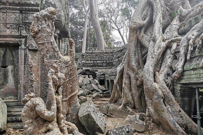 Angkor Cab 2 days Tour Off Beaten Track - The Sum Up: Is This the Right Tour for You?