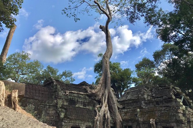 Angkor Jeep Tour with Sunset & Sunrise - A Deep Dive into the Itinerary