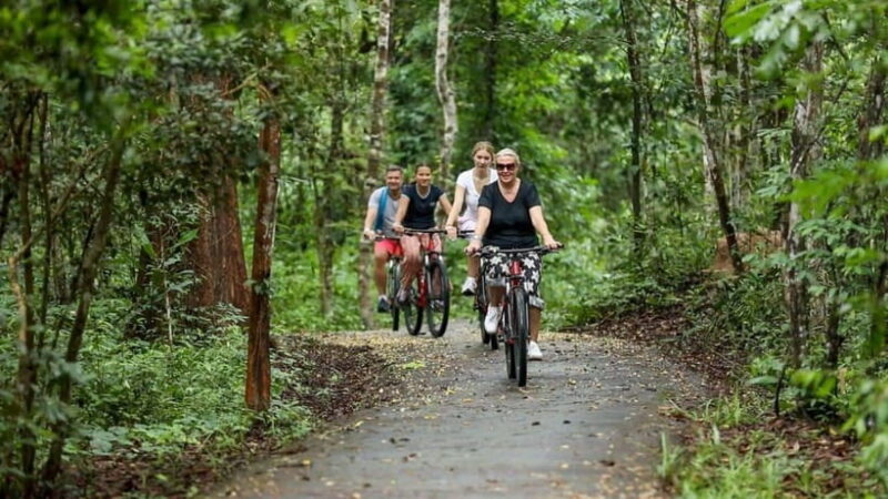 Angkor Jungle Biking Adventure Private Cycling Tour - Key Points