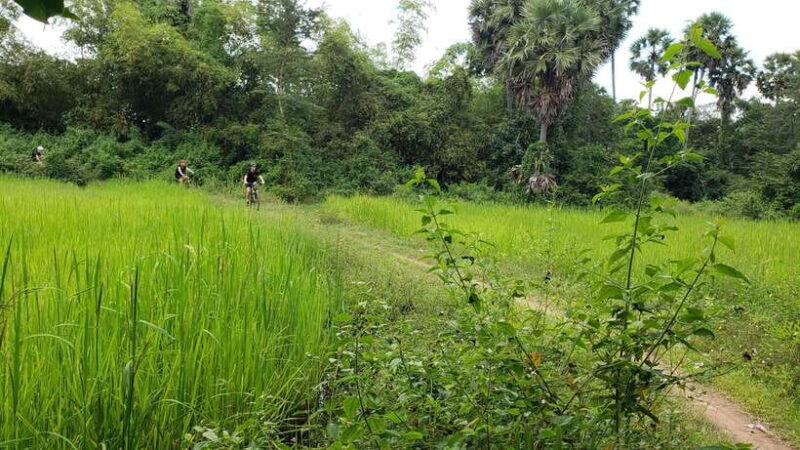 Angkor Jungle Biking Adventure Private Cycling Tour - Practicalities and Value