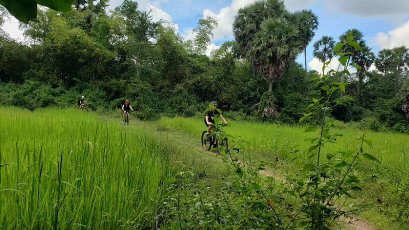 Angkor Jungle Biking Adventure Private Cycling Tour - Who is this Tour Best For?
