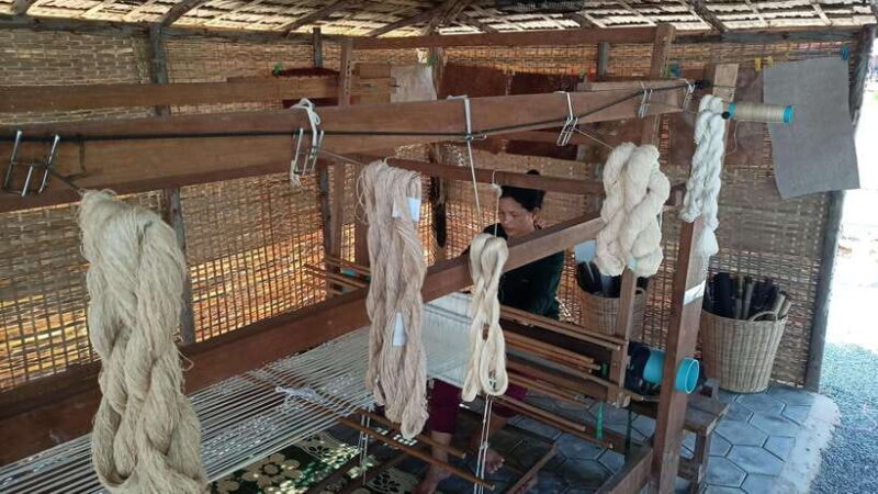 Angkor Silk Farm & Lotus Silk Farm: Siem Reap Discovery Tour - A Tour That Tells a Rich Textile Story