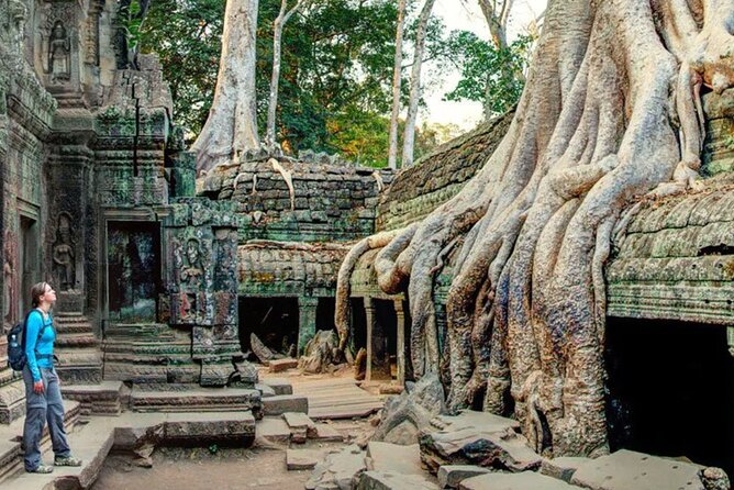 Angkor Sunrise Small Group Tour Inclusive Breakfast and lunch - Angkor Thom and the Bayon Temple